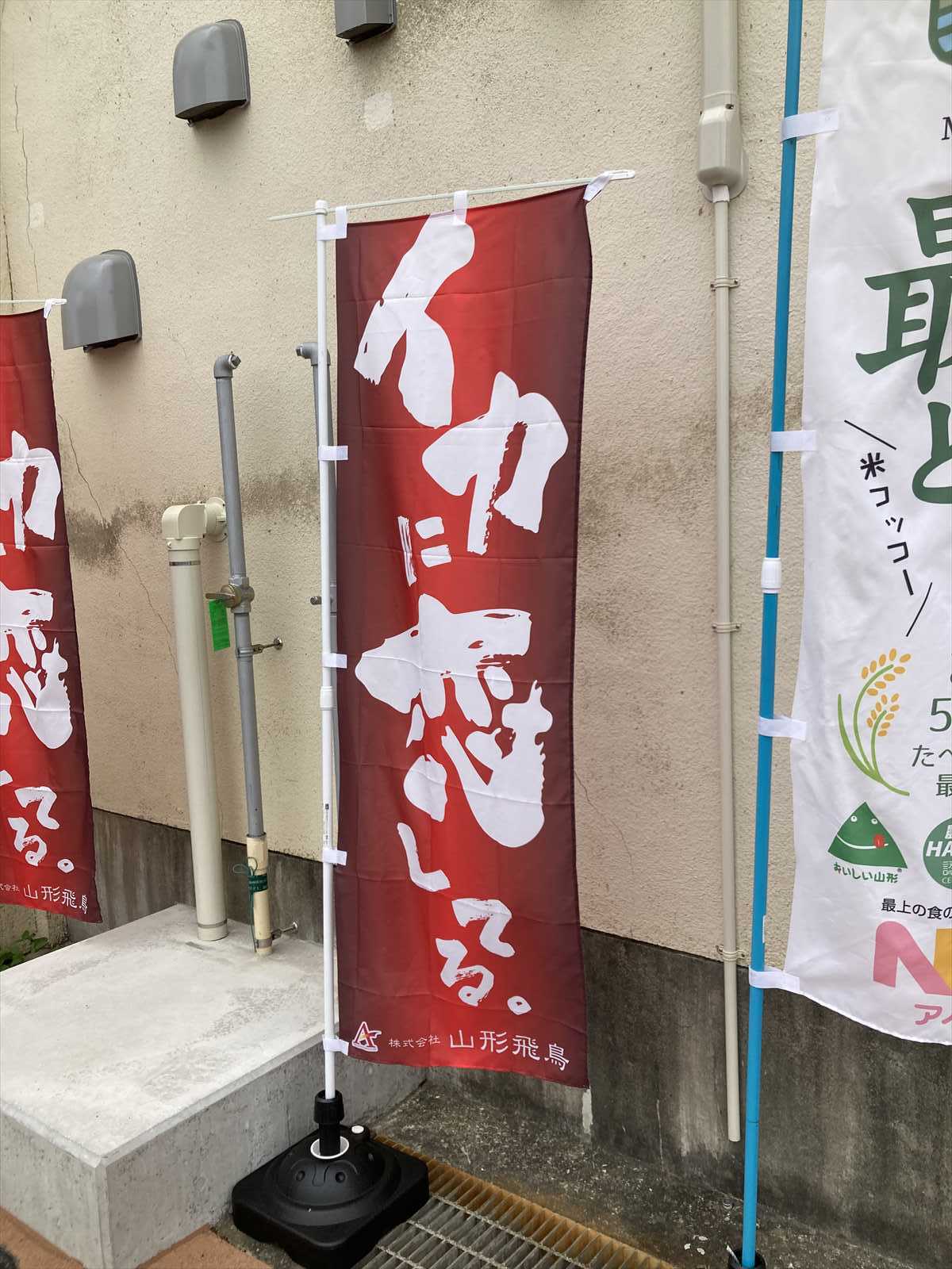 イカ恋食堂 その1: 亀之丞日記